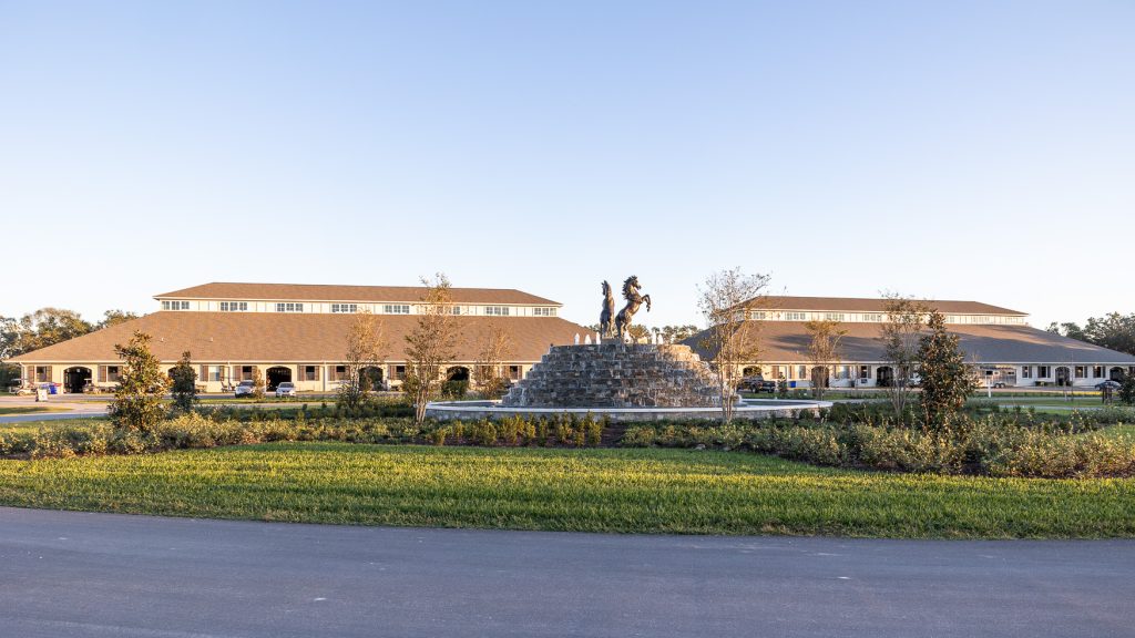 From Equestrian Excellence to Championship Golf: A Day at TerraNova ...